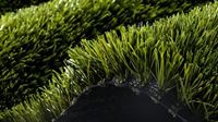 Development and production of synthetic sports turf systems ...